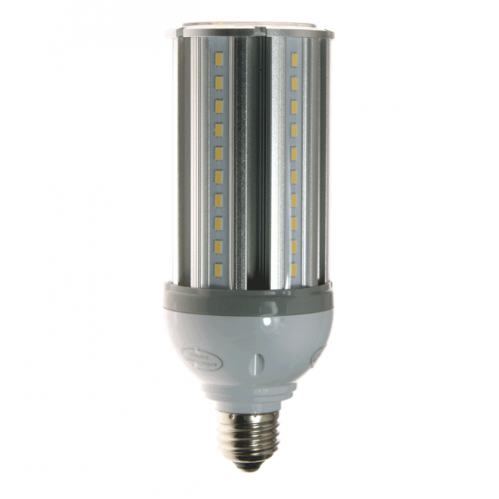 Damar Led Lighting | Shelly Lighting